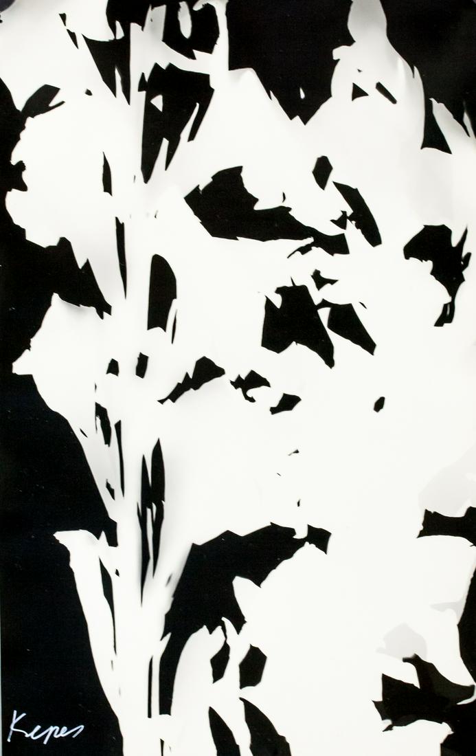 Gyorgy Kepes Hungarian Modernist Photogram Paper - Apr 09, 2020 | 888 ...