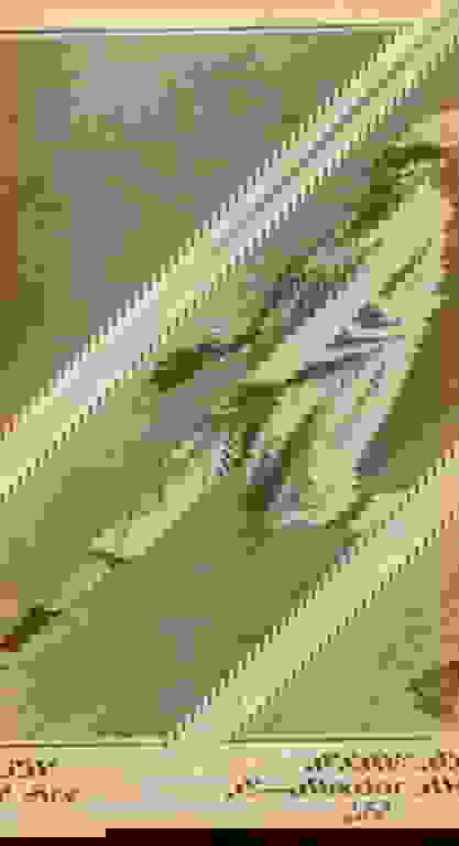 1916 Babe Ruth Boston Red Sox Baseball Card Auction