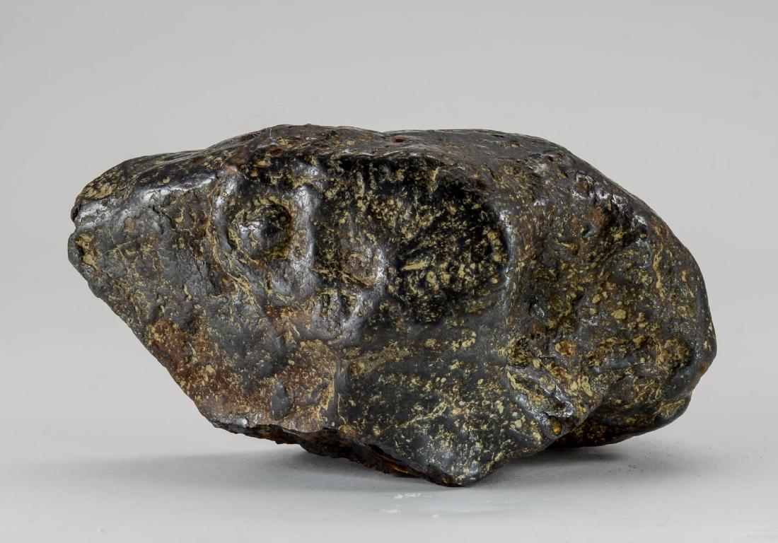 Iron Octahedrite Meteorite