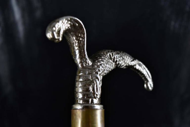 Cobra Head And Body Cane Sword