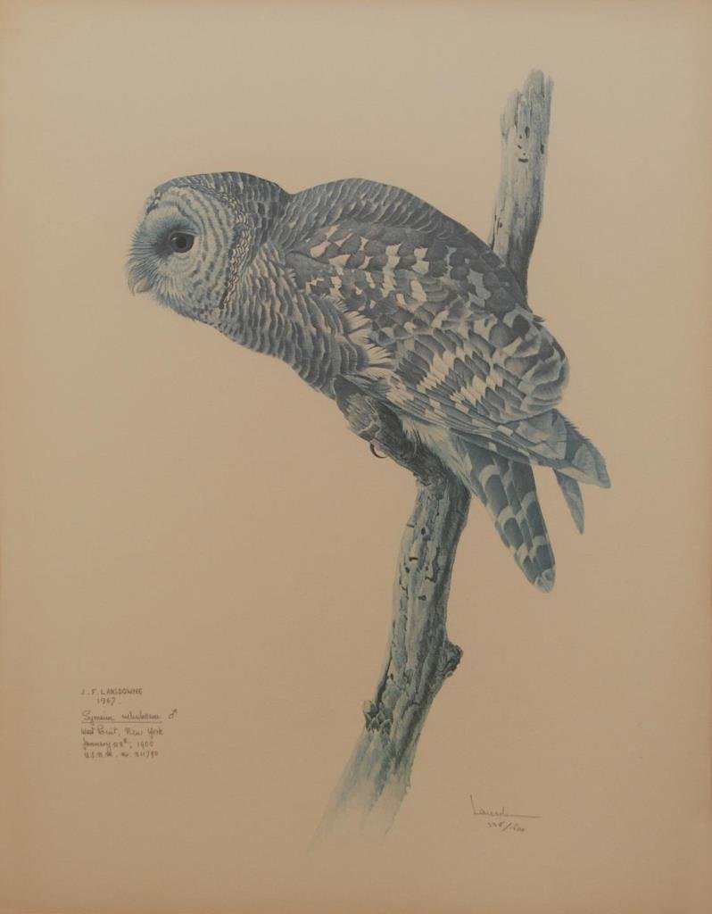 J.F. LANSDOWNE 1967 "OWL" LITHOGRAPH 335/1500 - Apr 12, 2014 | Elite ...