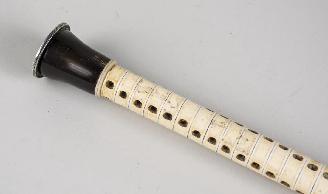 Shark Spine Vertebrae Walking Stick Cane