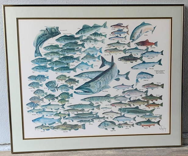 Russ Smiley Freshwater Fish Print Signed