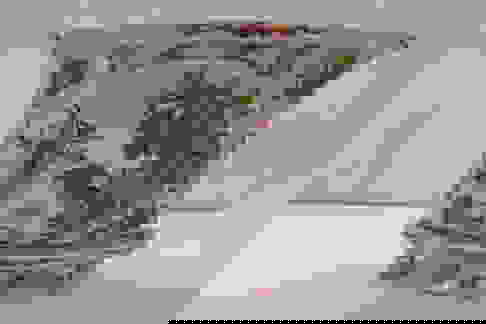 Large Chinese 2 Piece Planter Signed Hand Painted Bird & Flower Design ...