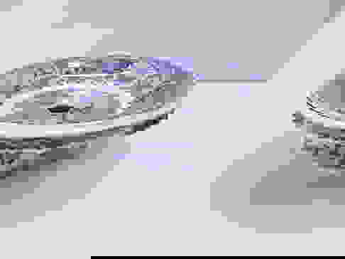 Early Blue & White Aesop Fable Fox & Tiger Soap Dish Auction