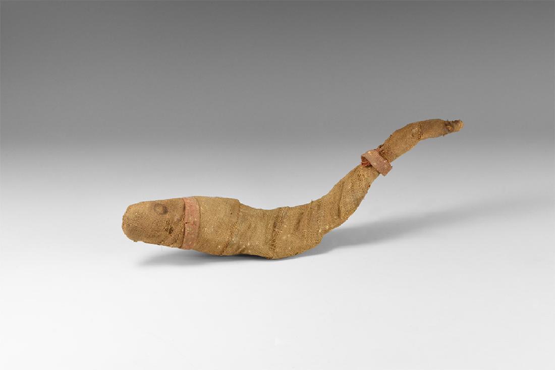 Egyptian Mummified Fish