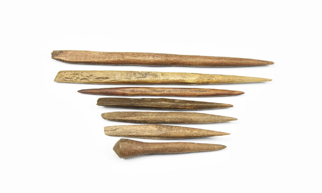 Stone Age Bone Awl and Bodkin Group