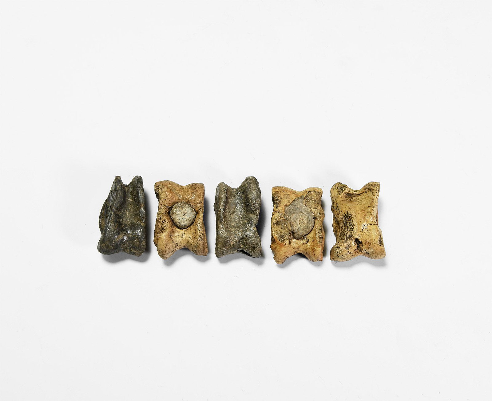 Roman Knuckle Bones Gaming Piece Group - Sep 02, 2020 | TimeLine ...