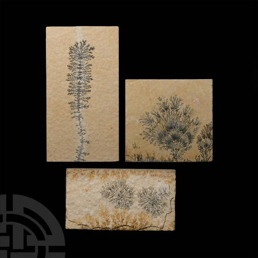 Mocha Stone (Dendritic Agate) Specimen Group - May 27, 2022 | TimeLine ...