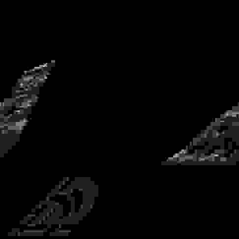 Viking Bronze Howling Beast Mount Auction