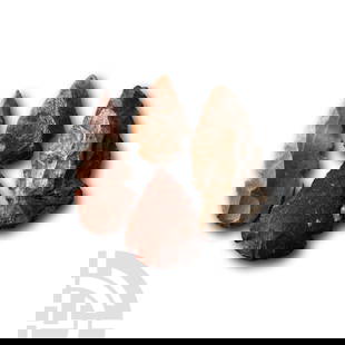 Arrowhead And Rattlesnake Tail Display Auction