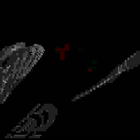 Iron Age Celtic Bronze Moustache Chape Auction