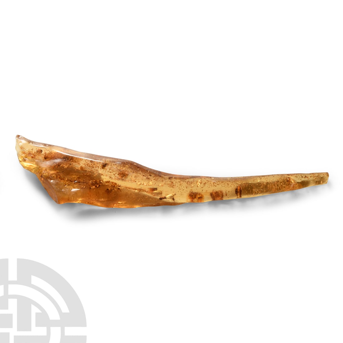 Natural History - Polished Copal With Insects Auction