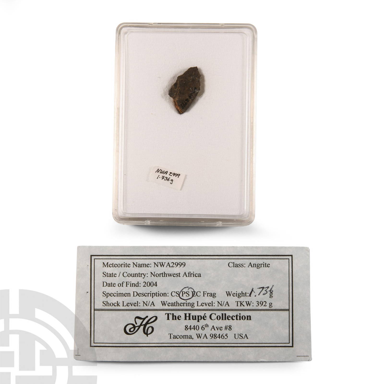 Natural History - Angrite Nwa 2999 Meteorite Slice Auction