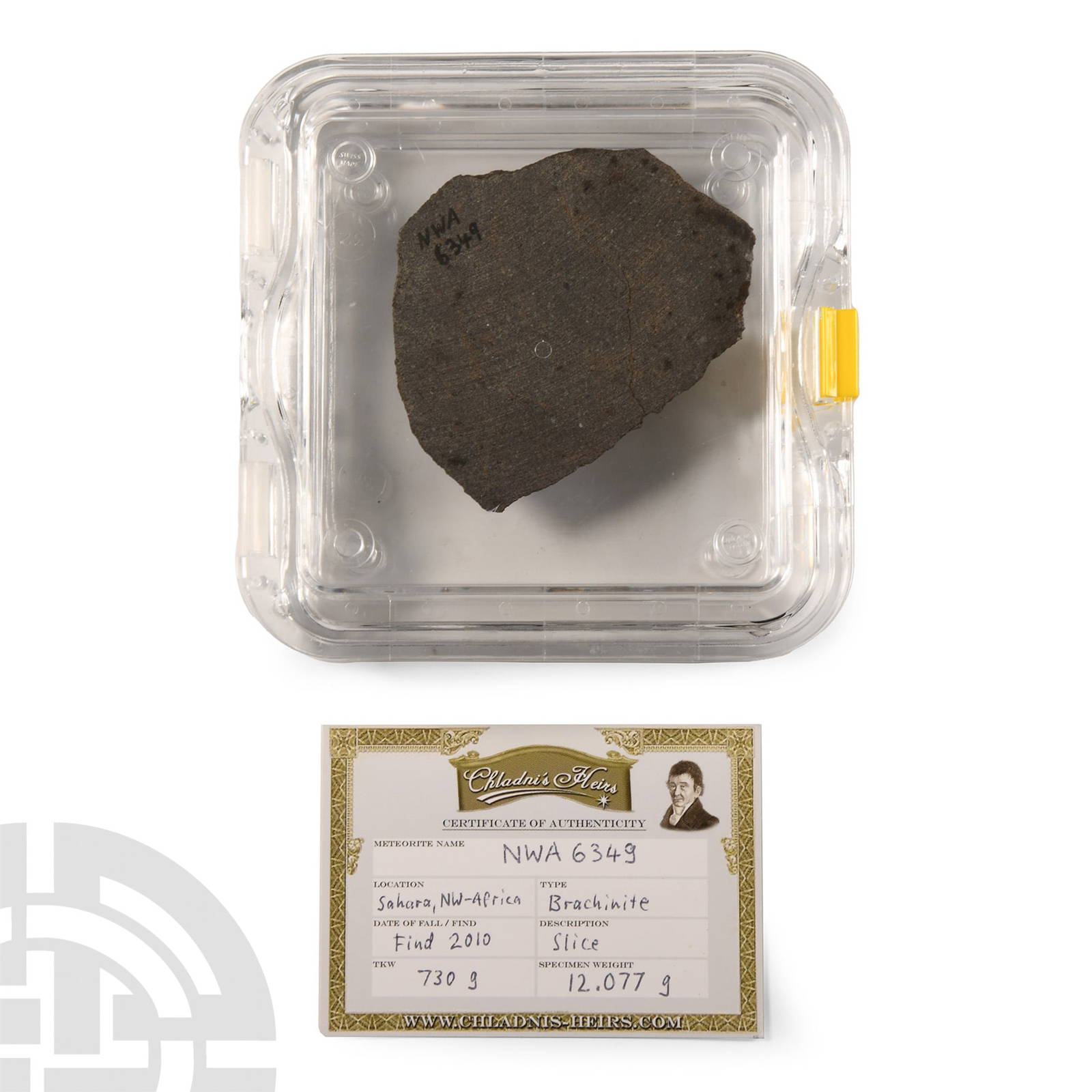 Natural History - Brachinite Nwa 6349 Meteorite Slice Auction