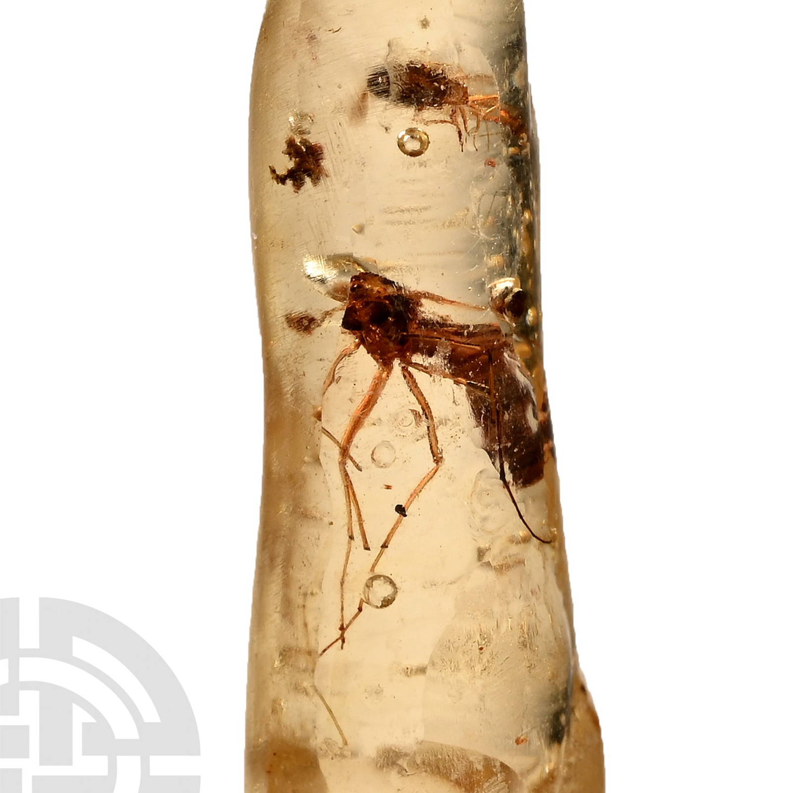 Insects In Copal Auction