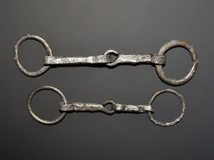 Medieval Iron Horse Bit Group