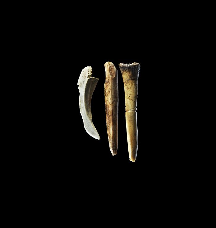 Stone Age Bone Awl Group