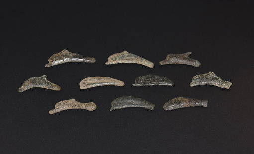 Ancient Greek Coins Thrace Olbia Dolphin Money