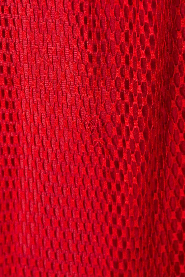 BLOOD RED PARTY GOWN, PITTSBURG, PA. c. 1890