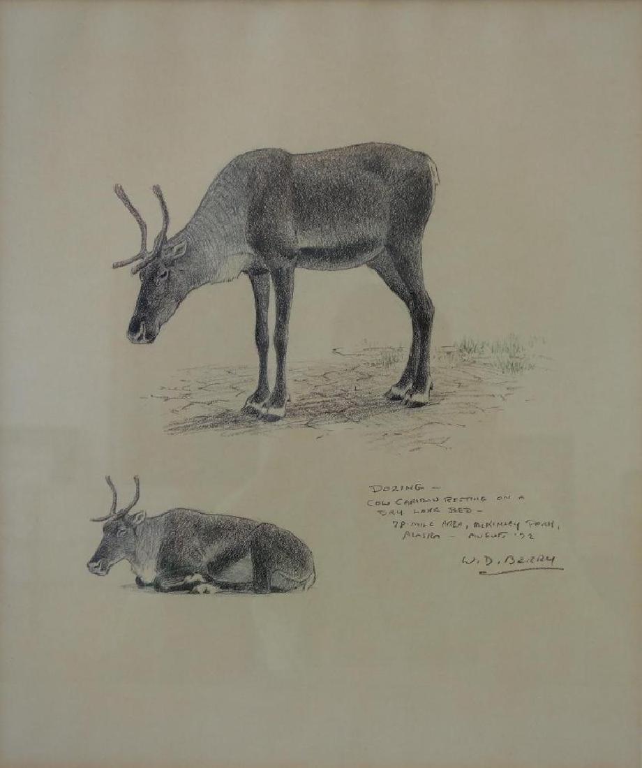 William D. Berry (1926-1979) Drawing, Cow Caribou