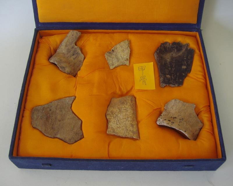 120: Chinese Oracle Bones Turtle Plastron Shang Dynasty