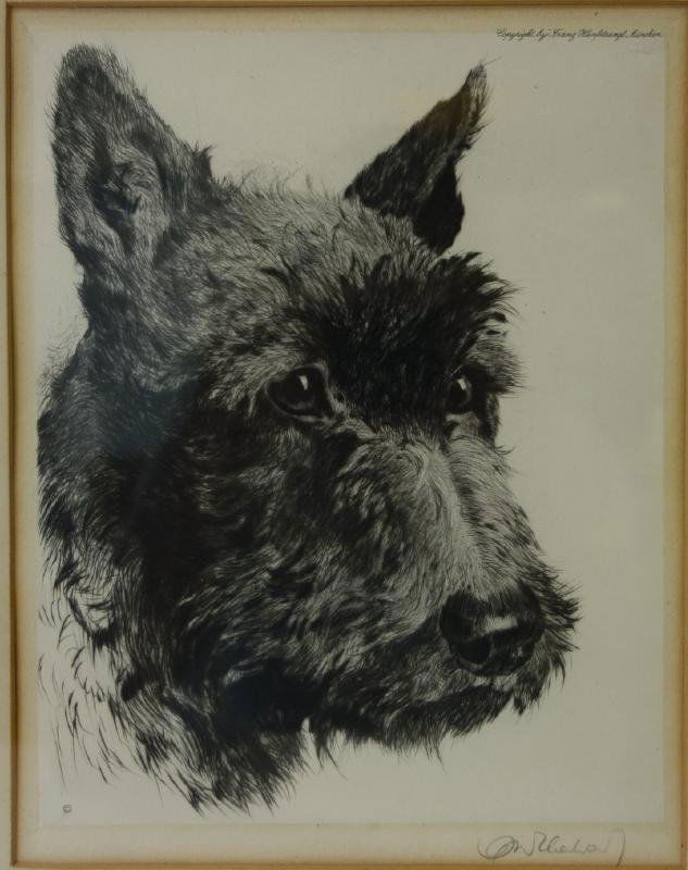 Kurt Meyer Eberhardt (1895-1977), Scottish Terrier