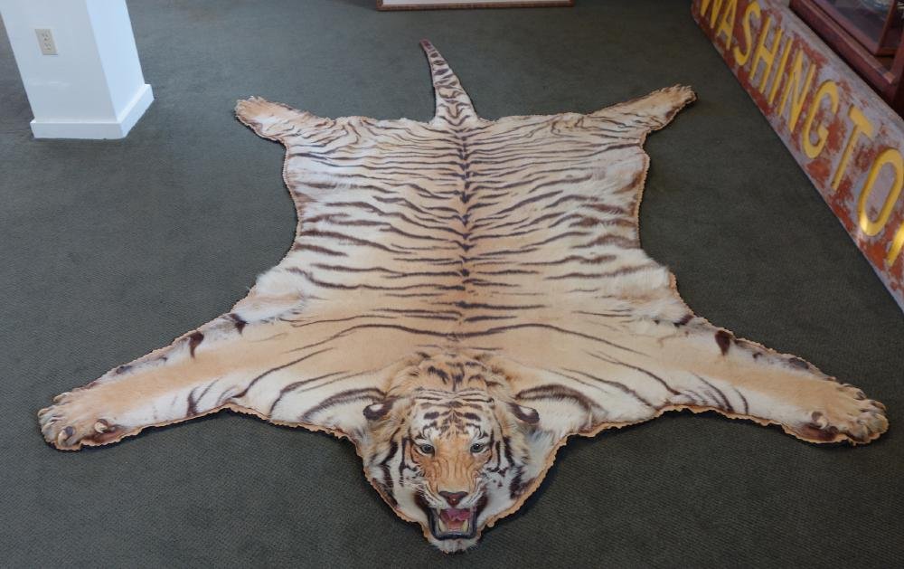 Bengal Tiger Rug Pelt, India 1953