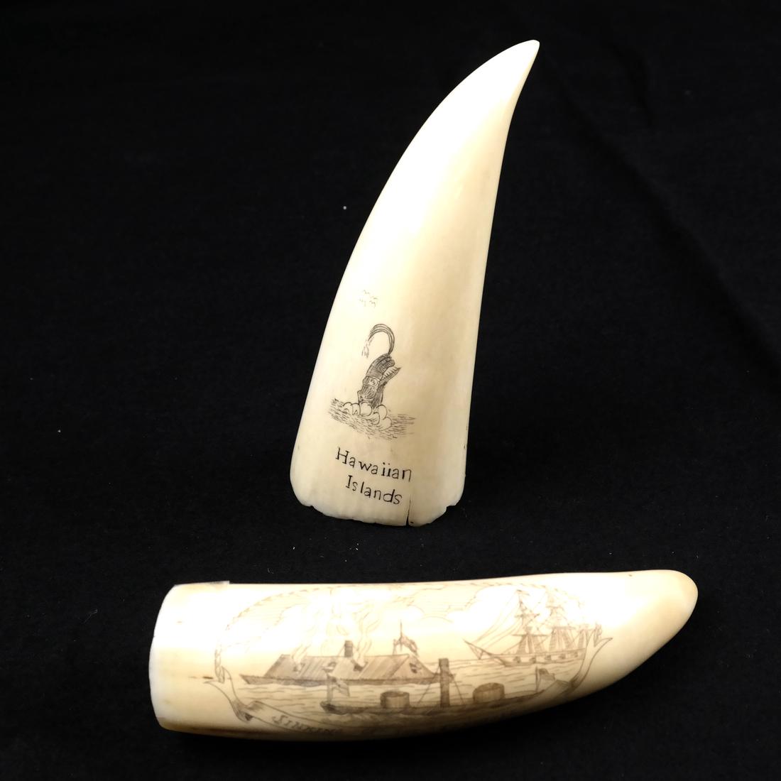 Two Scrimshaw Carvings