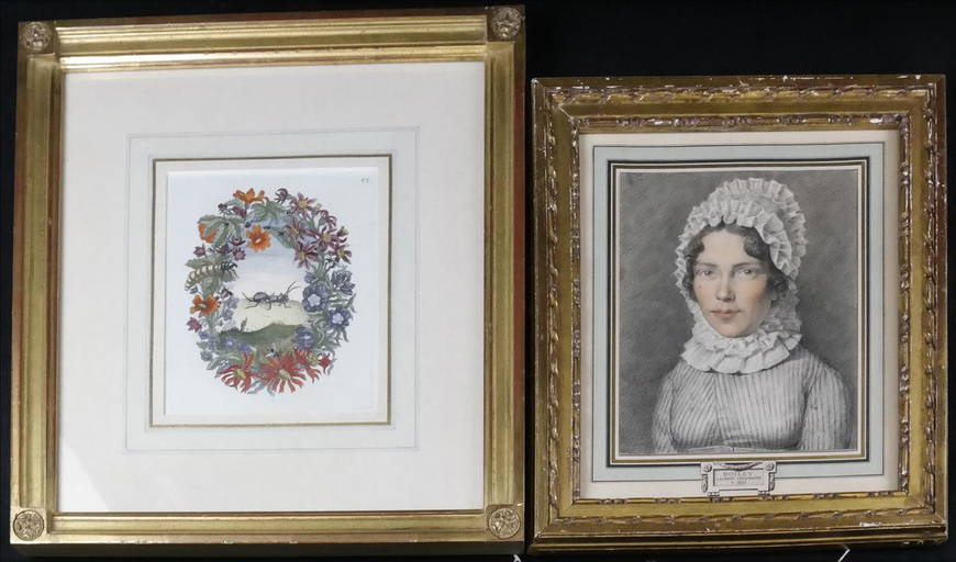 Louis L. Boilly, Maria S. Merian: Two Works