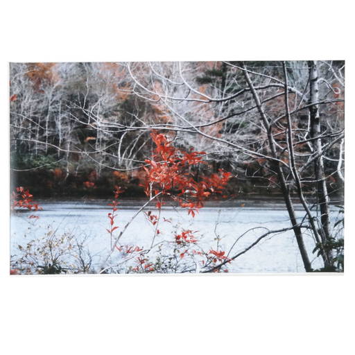 Attributed Brian Rushton: "western Pennsylvania"