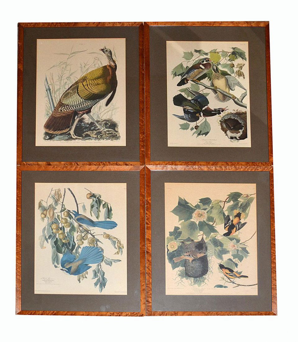 Set Of Four Audubon Reproduction Prints