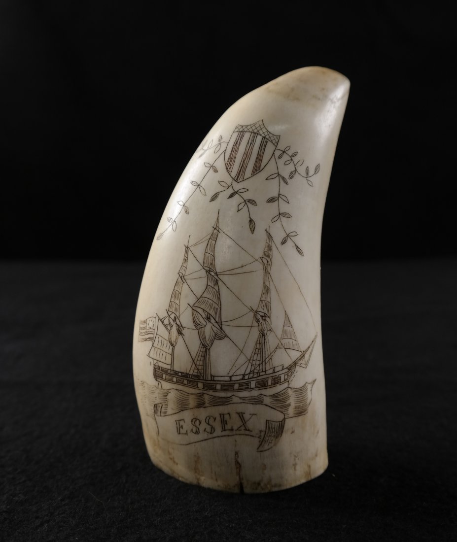 Whale Tooth Scrimshaw "Essex" - Jan 09, 2016 | Roland NY in NY