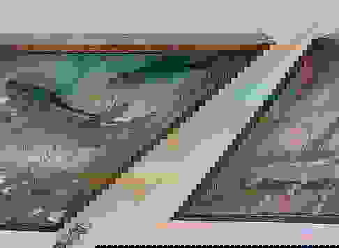 Unusual Fish Mount Display Cabinet With A Northern, 2 Walleye, & A Sun ...