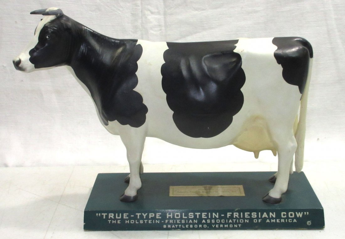True-Type Holstein-Friesian Cow