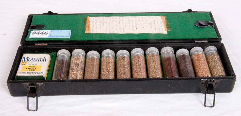 Salesman Sample Of Spices