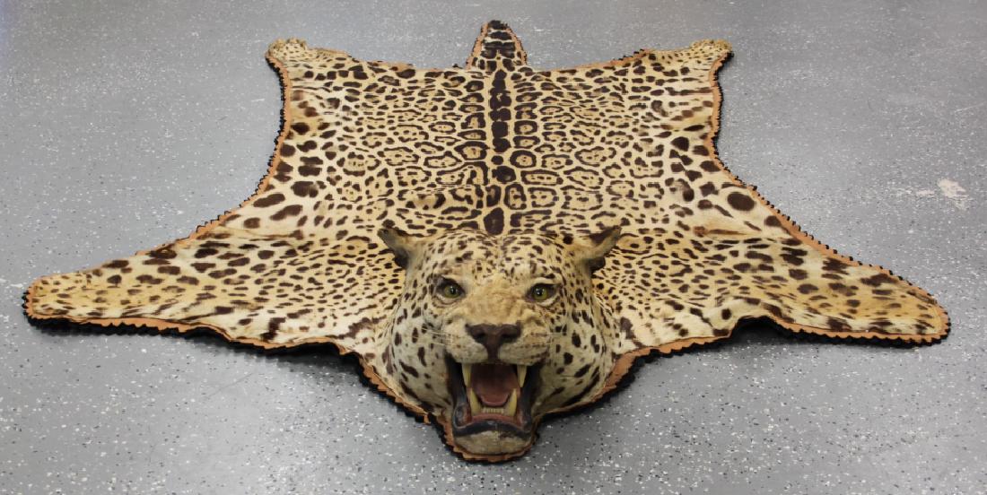 1960's Sasha Siemel Hand Speared Jaguar Skin Rug