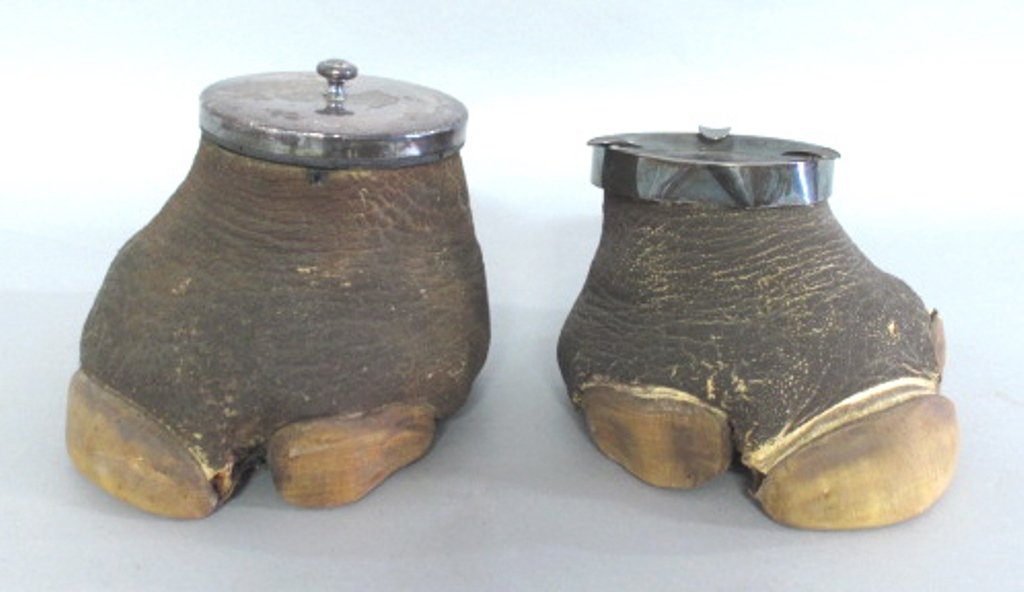 Elephant Foot Ashtray and Container