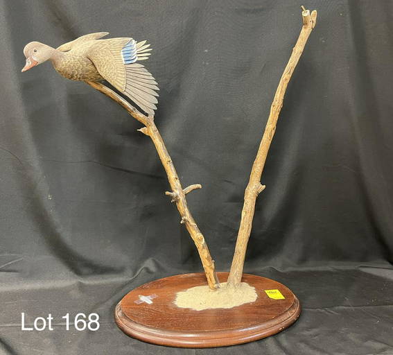 Mallard Hen Decoy Mounted On Tree Branch