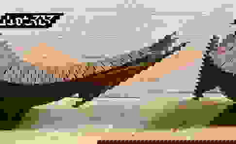 Burmese Pattala With Bamboo Slats Auction