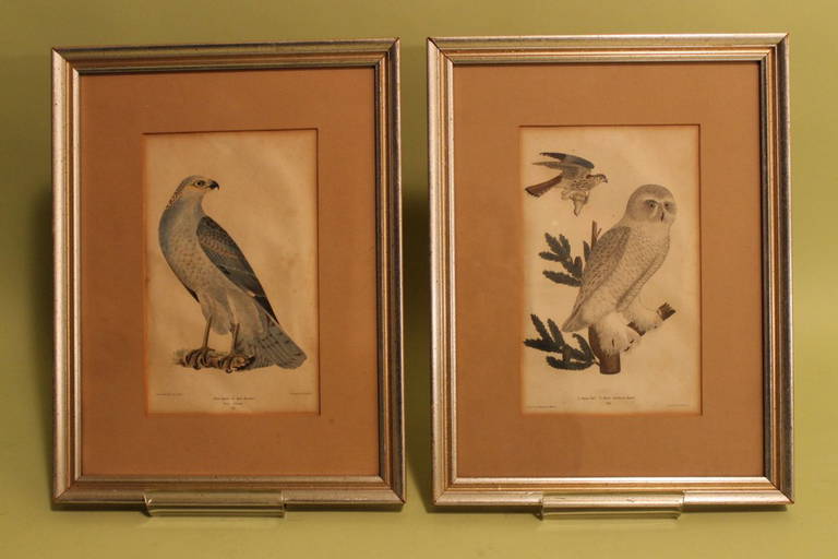 Pr. Of William Home Lizars Engraving