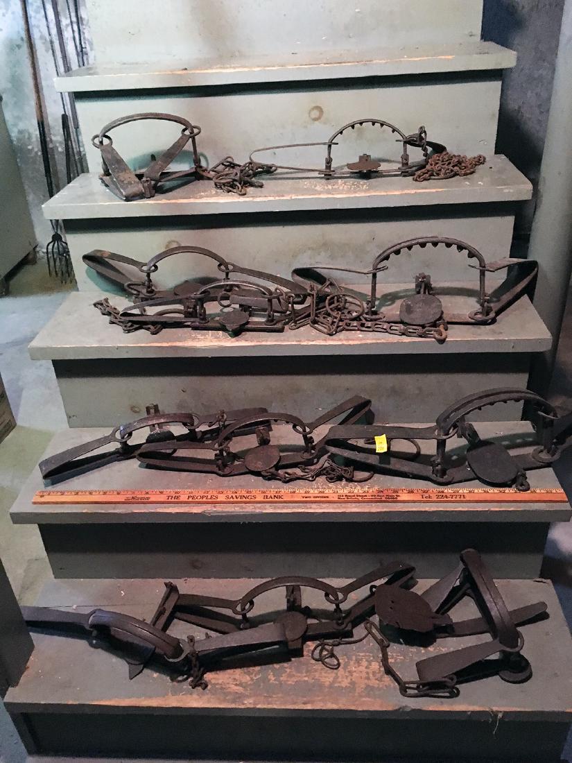 11 Antique Steel Traps