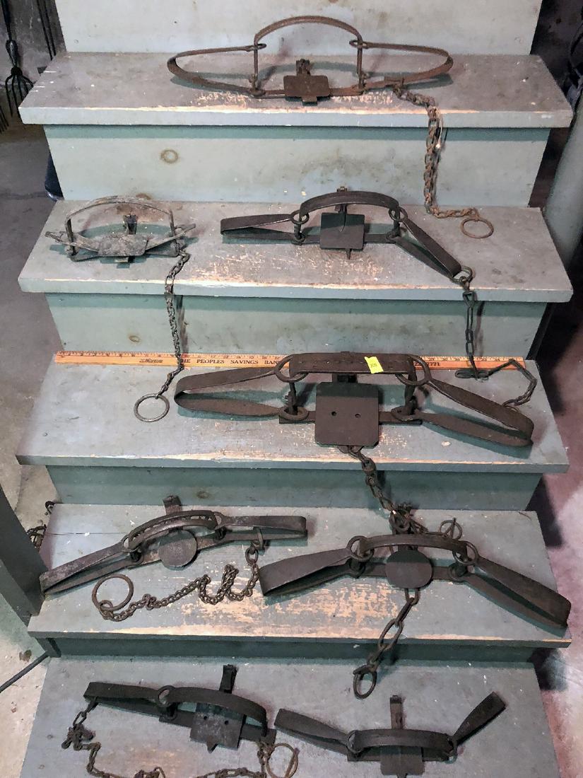 8 Medium Antique Steel Traps