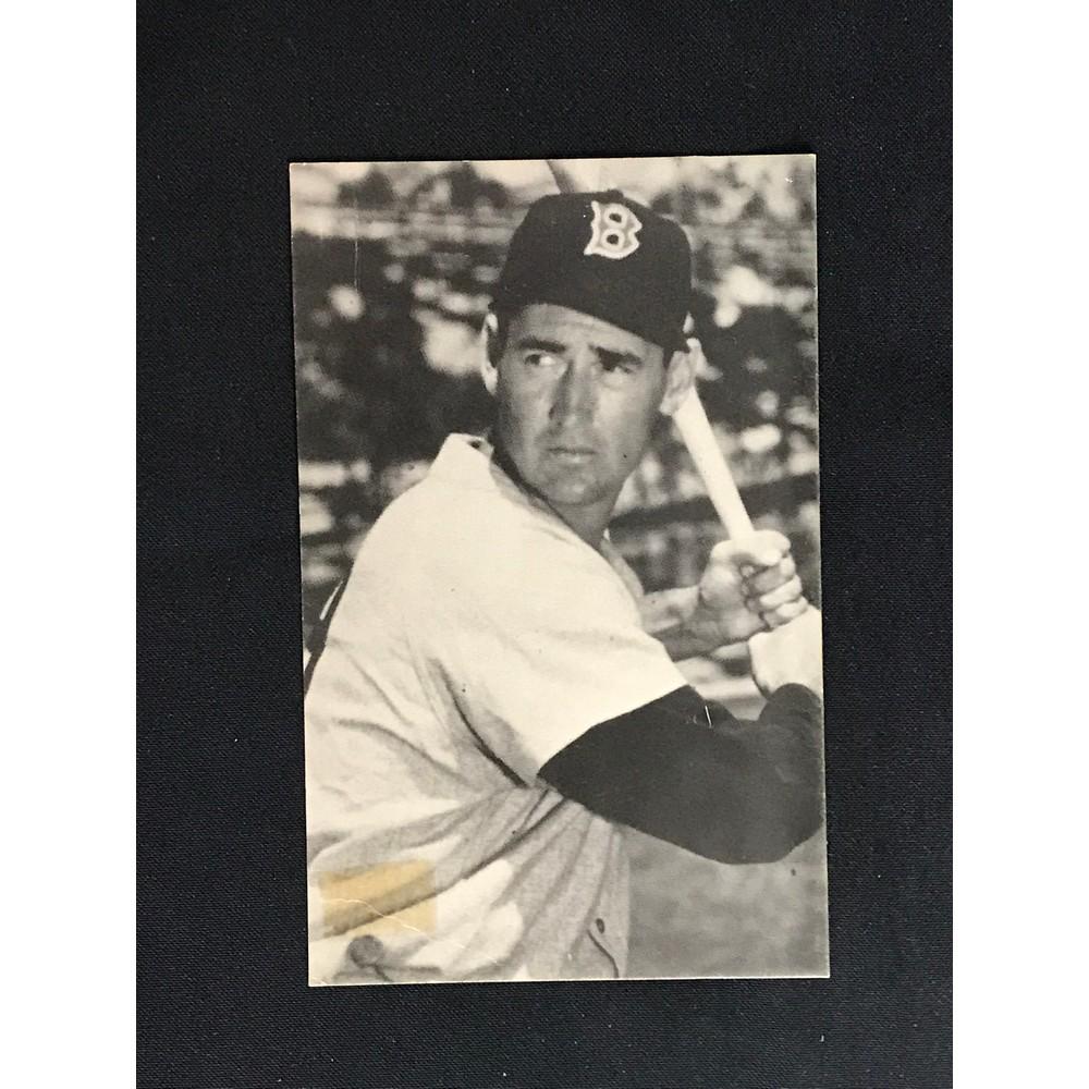 Ted William Vintage Stadium Postcard