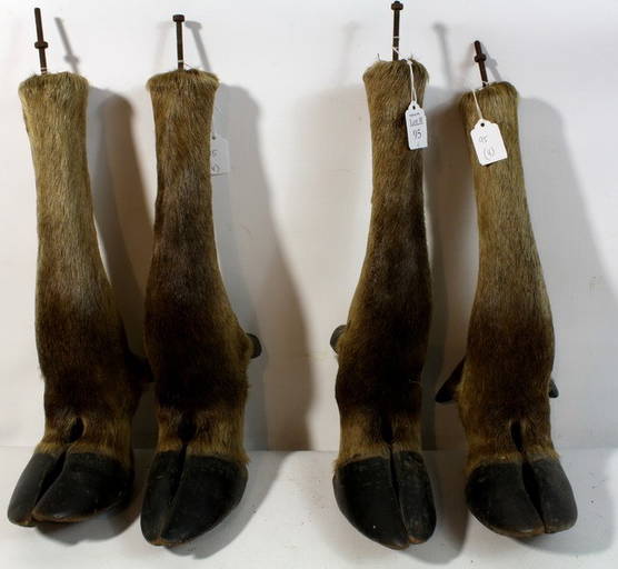 4pc Loose Moose Legs