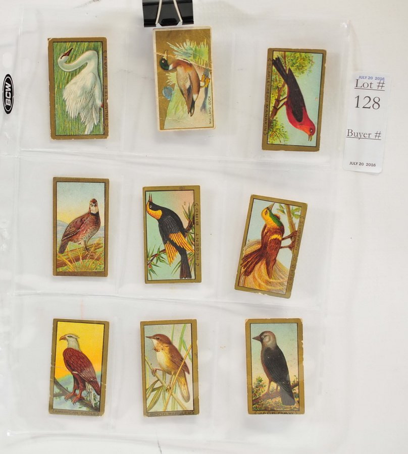 119 Bird Tobacco Cards