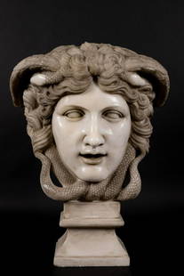 Medusa Head