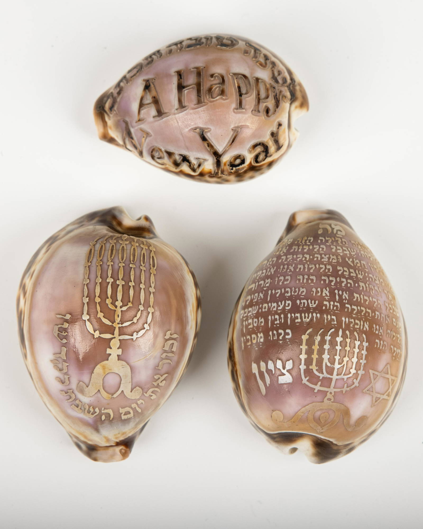 Three Carved Cowry Shells Auction