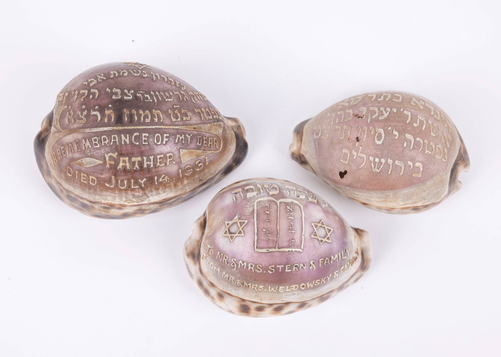 A Group Of Three Hand Carved Judaic Cowry Shells Auction