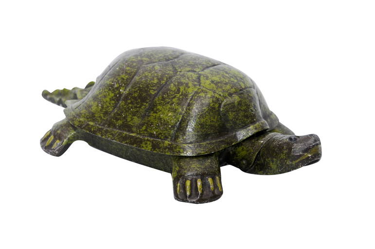 American Hinged Turtle Trinket Box